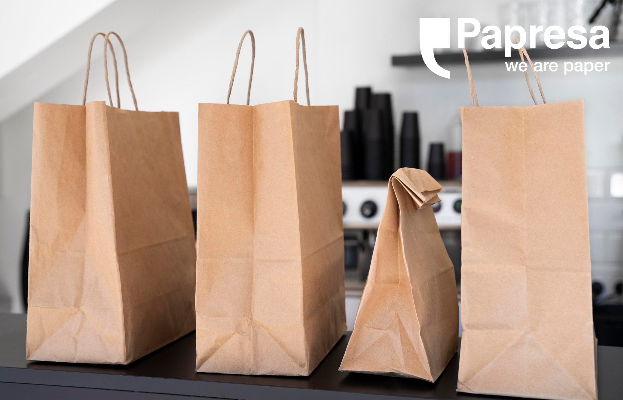 Papresa - Newsprint and Packaging paper producer